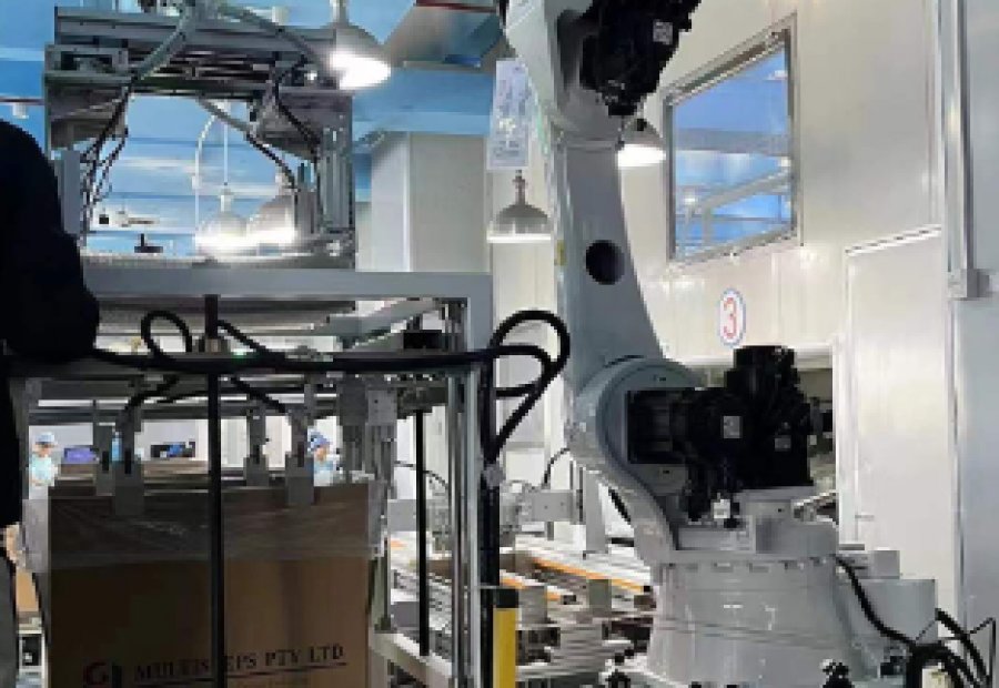 Fully automatic bagging machine